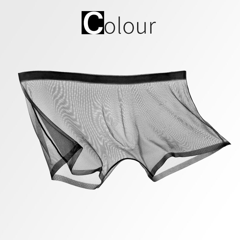 TRANSPARENTE ICE-MESH-BOXERSHORTS – heepqy